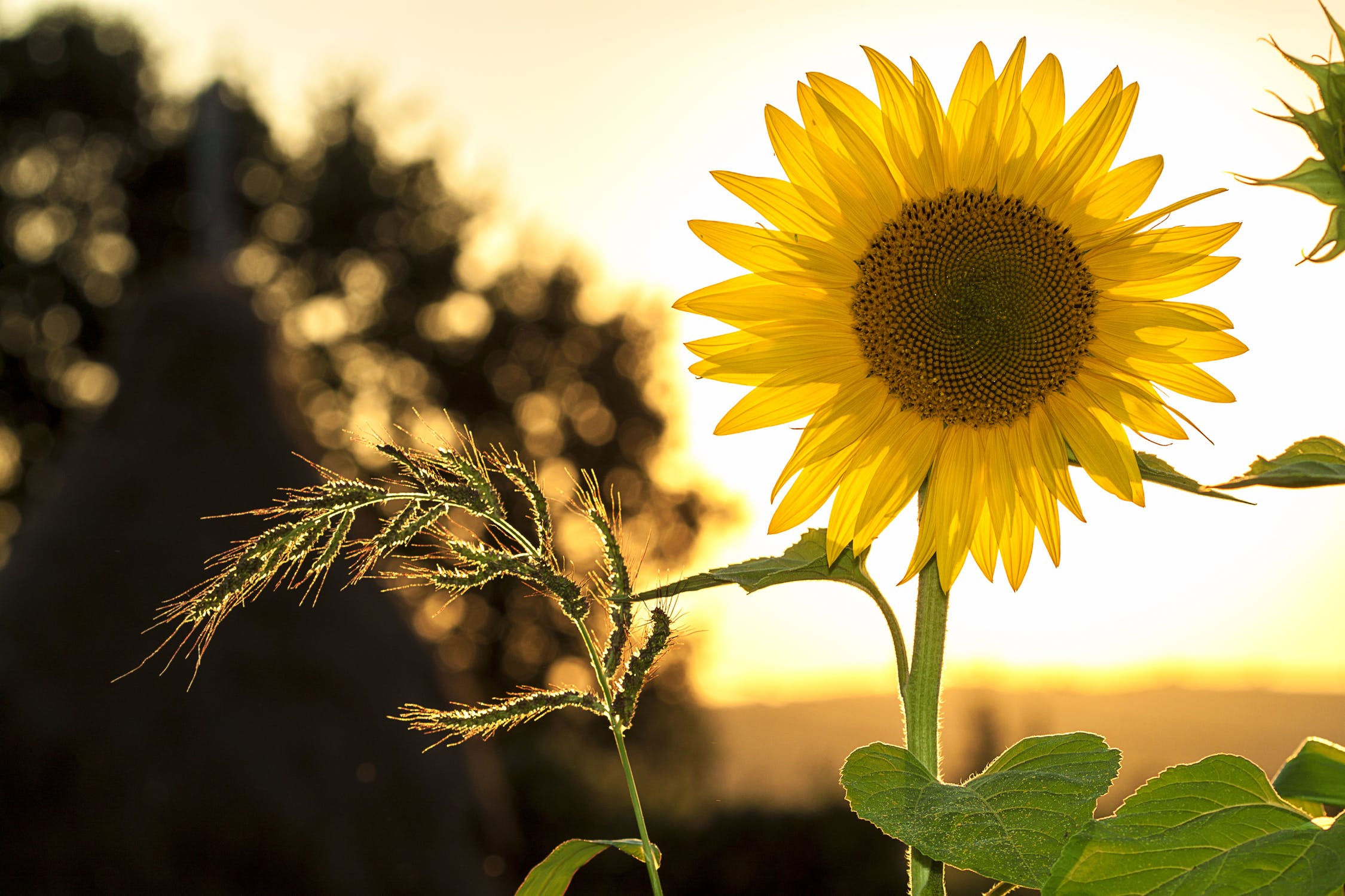 Everything you need to know about summer heating | Nu-Heat